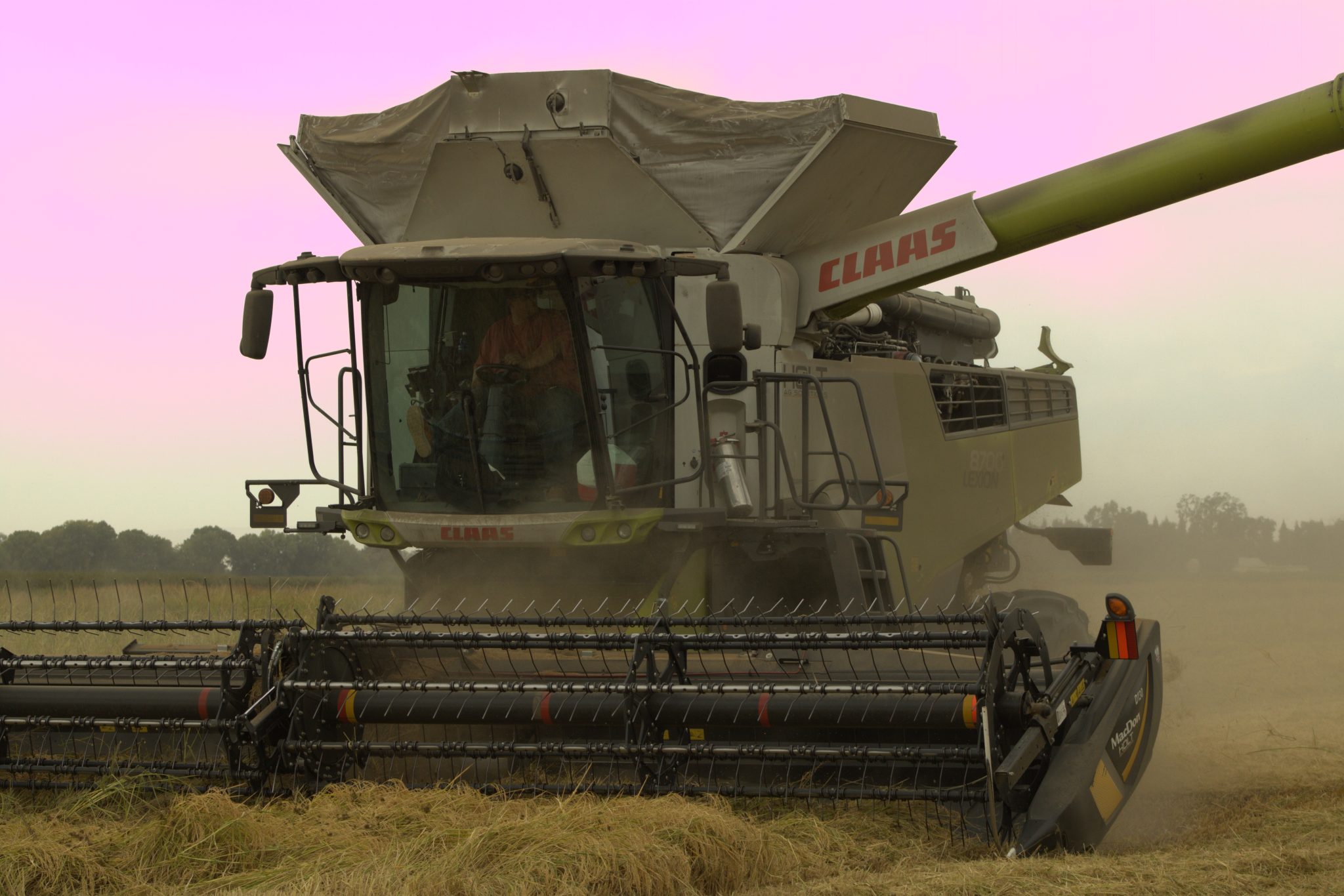 CLAAS Harvesters & Combines | Holt Ag Solutions