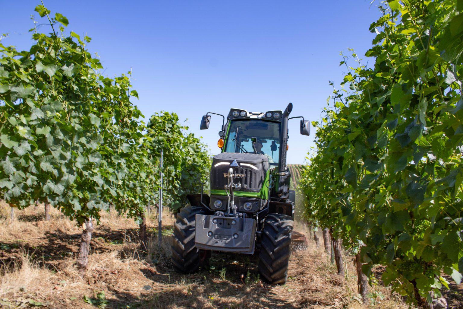 Tractors for Orchards, Vineyards, and Specialty Crops - Holt Ag Solutions